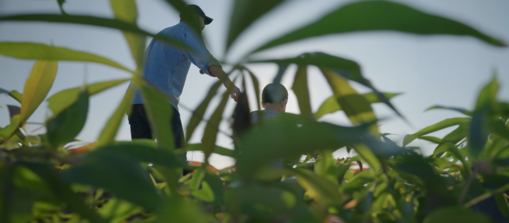 The Grow | A Farm & Garden Community